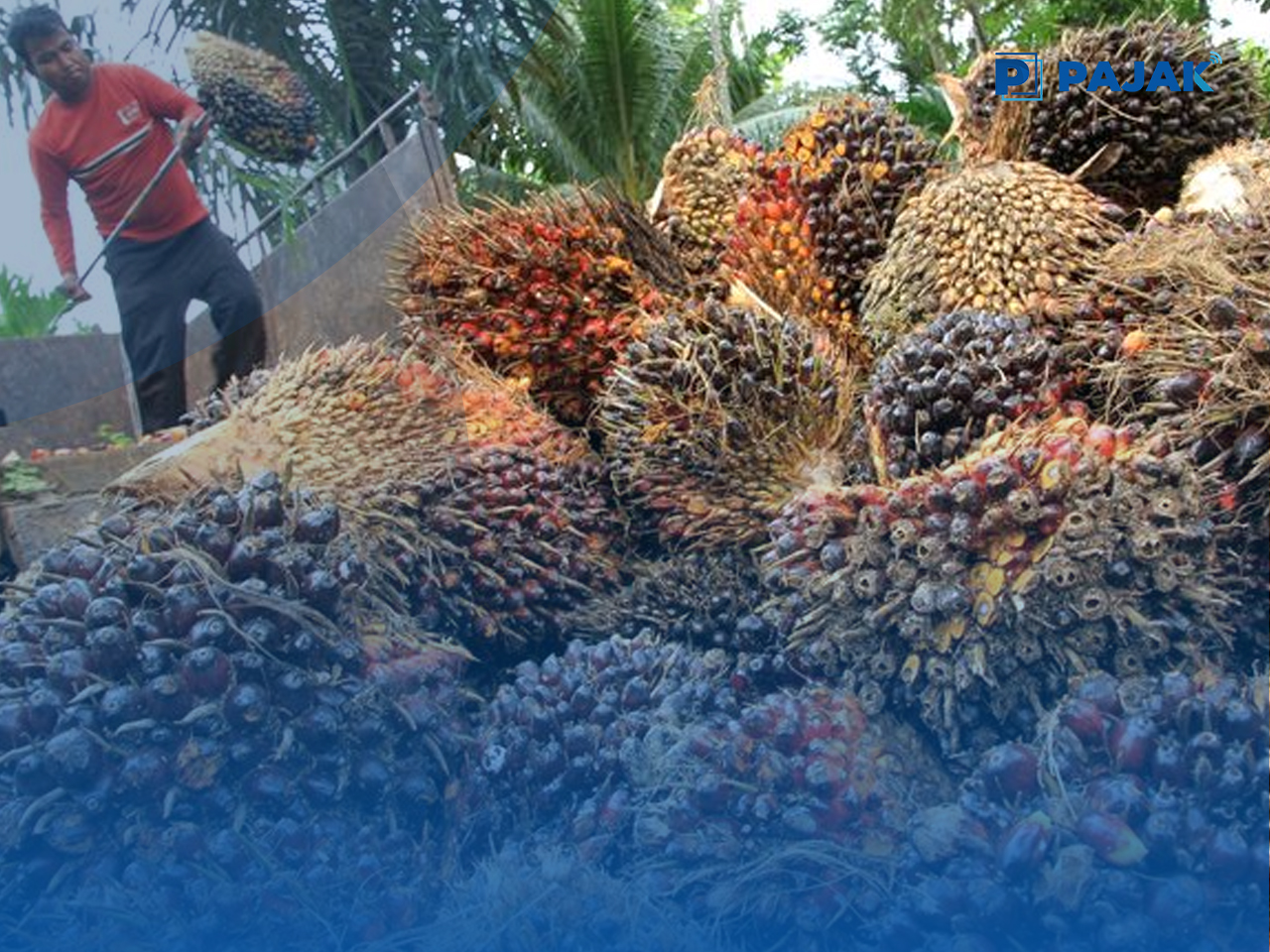 Ini Tarif Baru Pungutan Ekspor CPO - Laman 2 dari 2 - PAJAK.COM