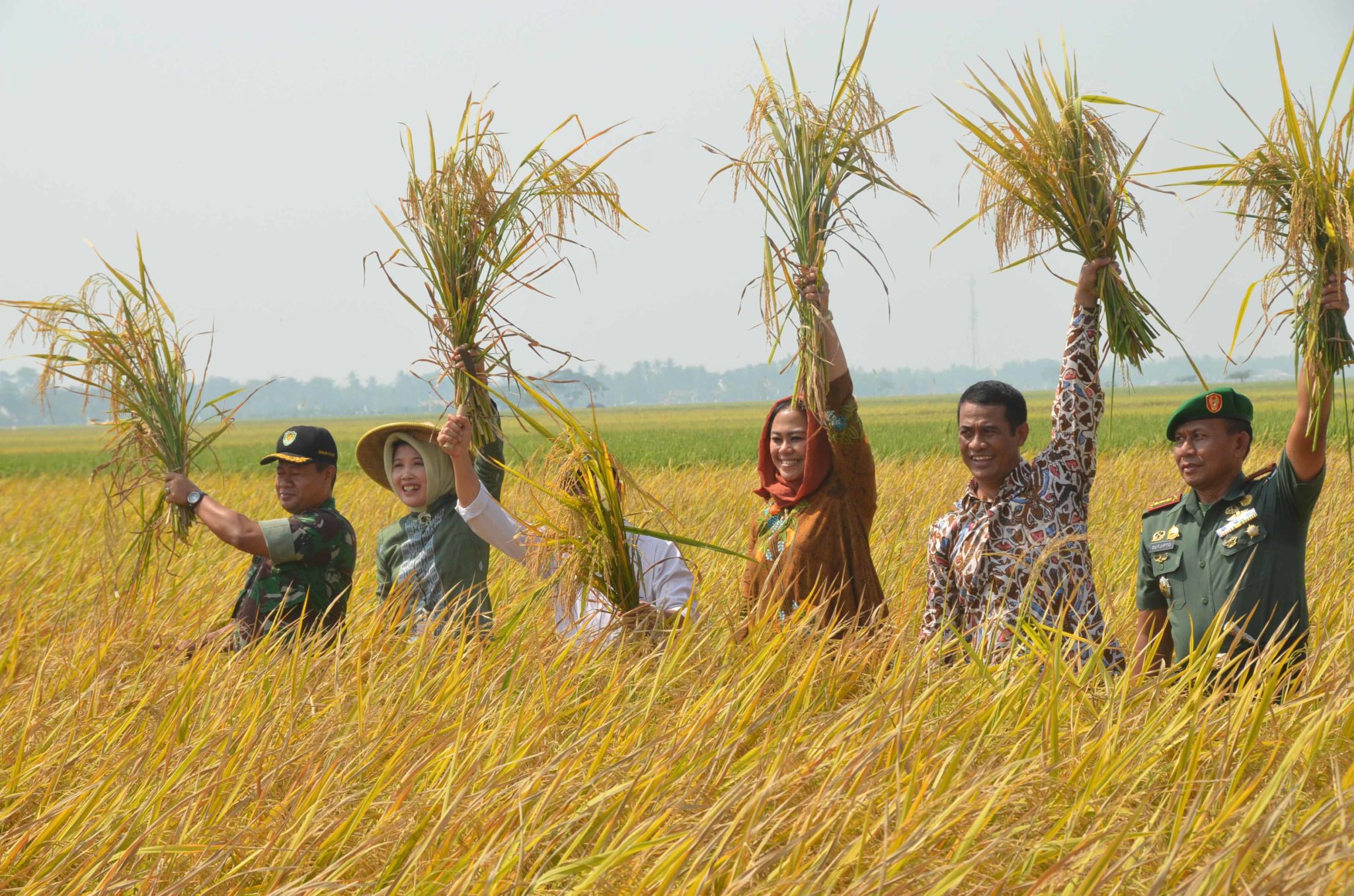 Sawah Milik Petani di Karawang Bebas Bayar PBB - PAJAK.COM