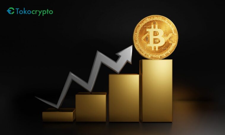 Harga Bitcoin Melonjak, Tokocrypto Bantu Investor Bayar Pajak Kripto ...